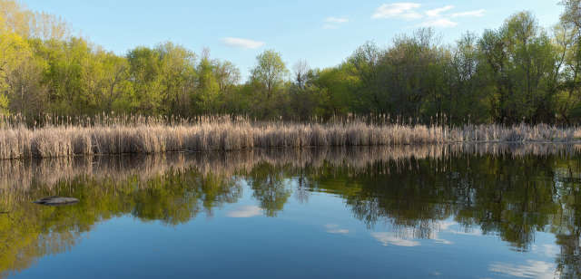 Dodge Nature Center | Days Out With Kids